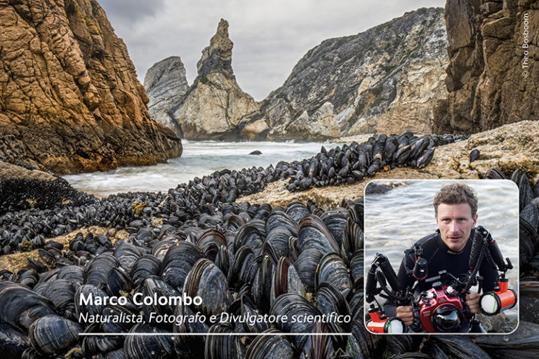 Visita guidata alla Mostra 2024-25 con il naturalista e fotografo Marco Colombo - Associazione ...